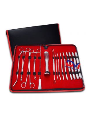 Gynecology Surgical Instruments